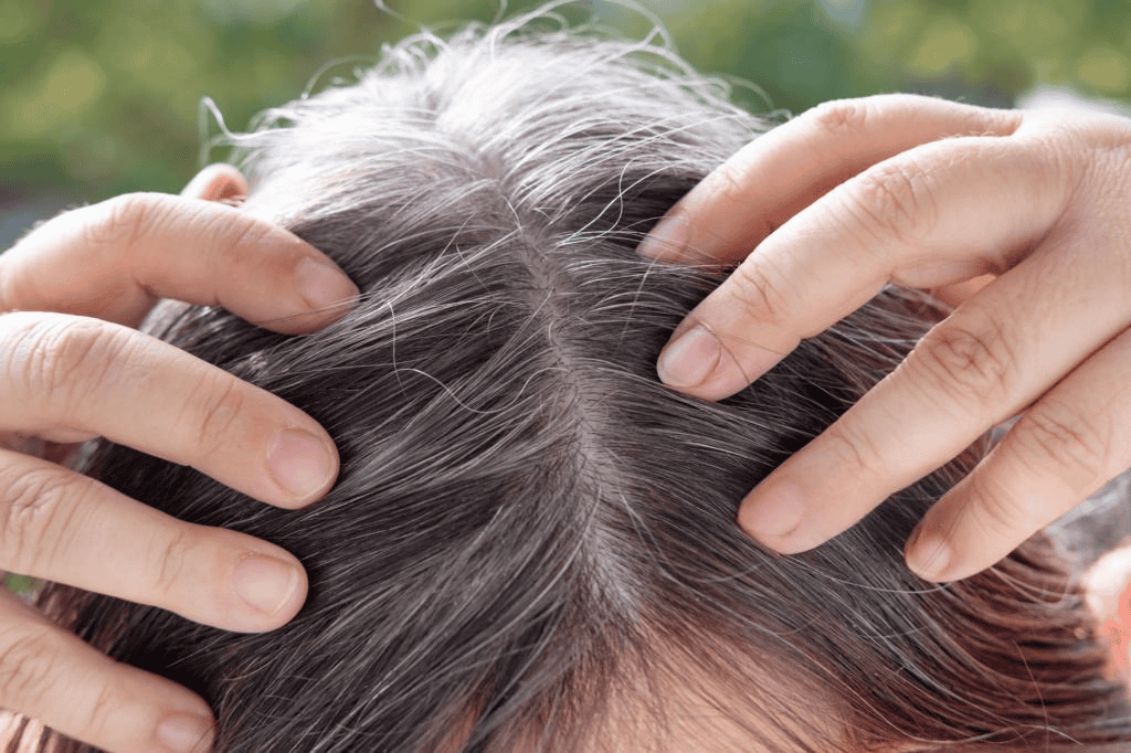 The Ultimate Guide to Natural Hair Dye for Grey Hair